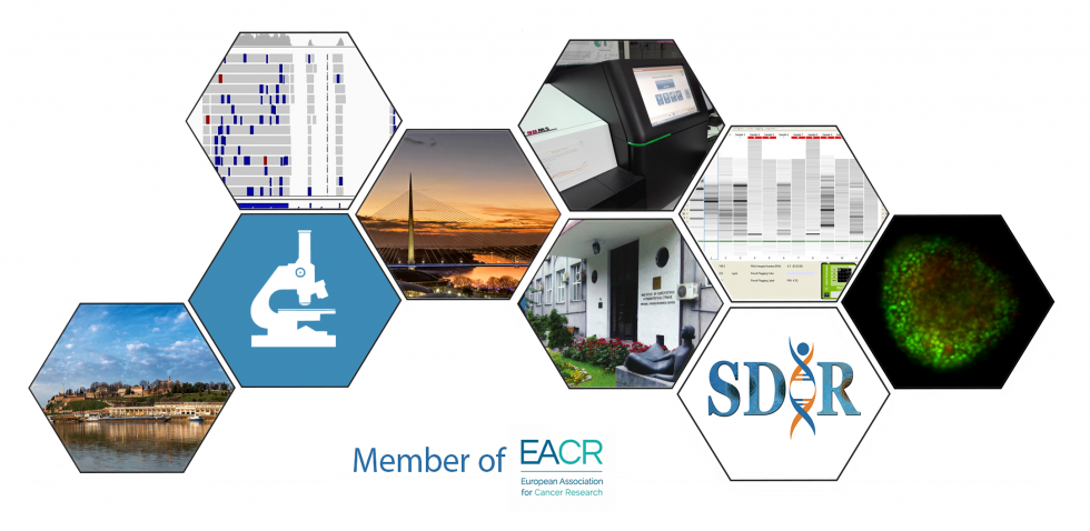 ABOUT THE ASSOCIATION | SDIR